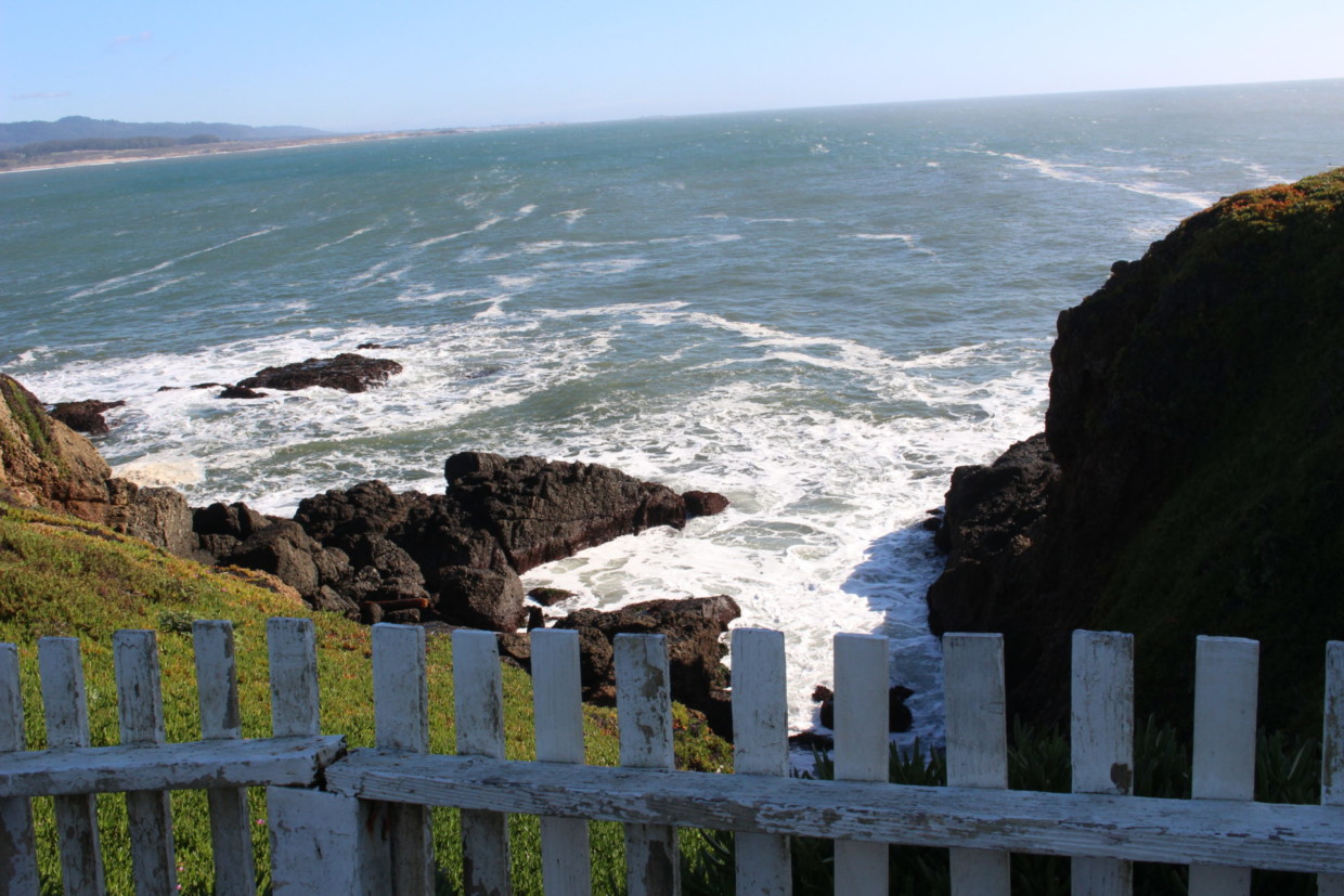 Outdoor Places to Visit in the Bay Area – M-A Chronicle