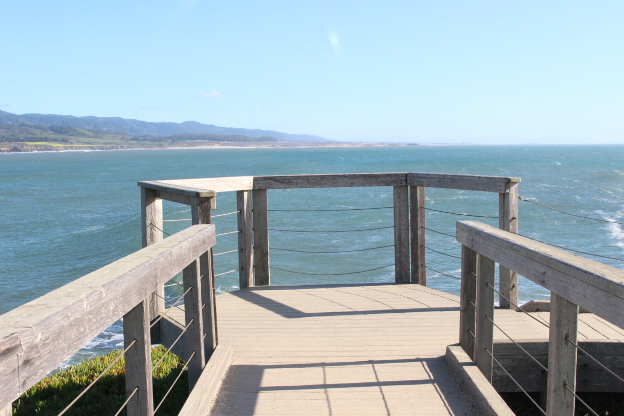 Outdoor Places to Visit in the Bay Area – M-A Chronicle